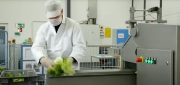 Salad processing: 1000 kg/h - Lingwood Food Services