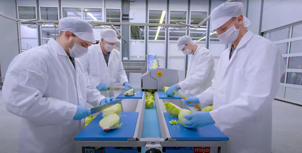 See Videos of the vegetables and salad processing line - Lingwood