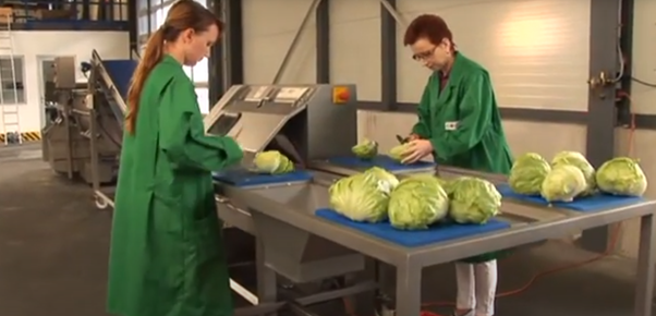 Medium Capacity Salad Preparation, Slicing and washing Line - Lingwood ...