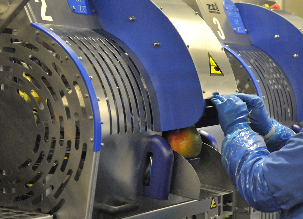 Mango Peeler - Lingwood Food Services