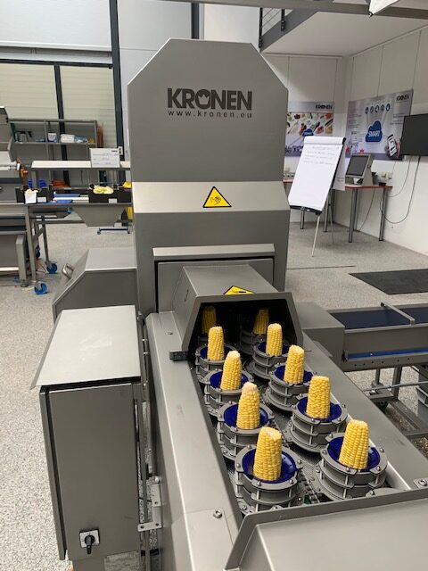 Tona rapid - Corn rib cutting - Lingwood Food Services