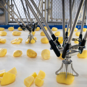 PIP Innovations D-Blade Robotic Cutting System - Lingwood Food Services